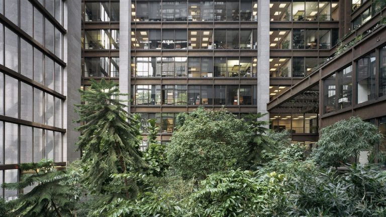 Un bosque tropical en Nueva York ¿quieres saber dónde está? - Guias.travel
